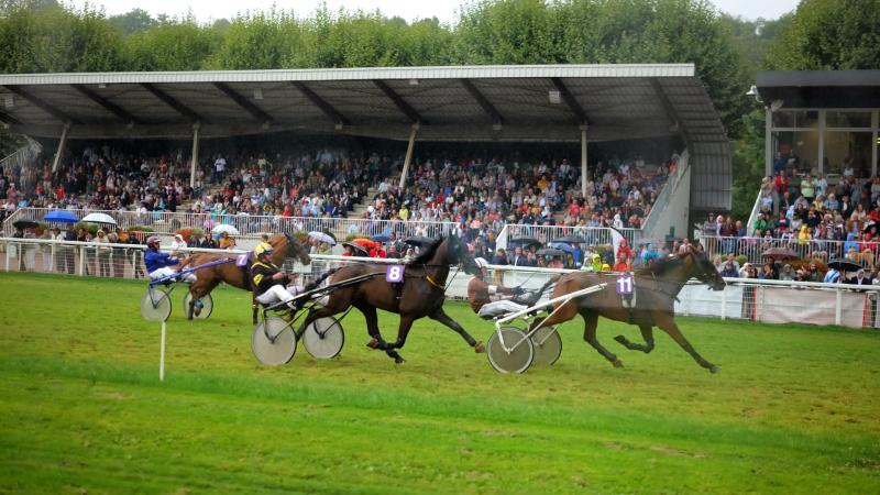 Aix-les-Bains - Journée du bien-être équin à l'hippodrome