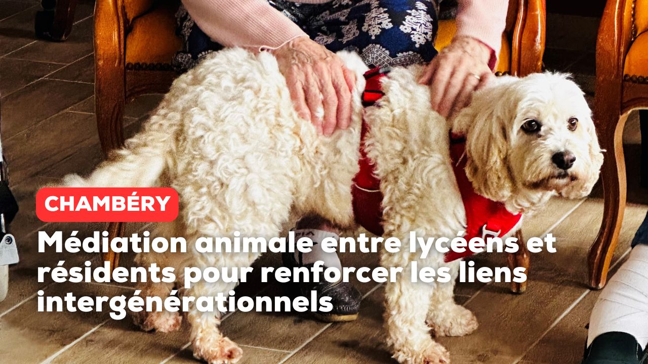 Chambéry - Médiation animale entre lycéens et résidents pour renforcer ...