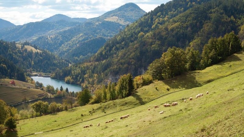 Savoie - Agir pour l’avenir des alpages