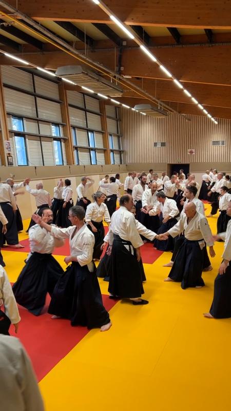 Cognin - Double stage d'Aïkido avec Hélène Doué