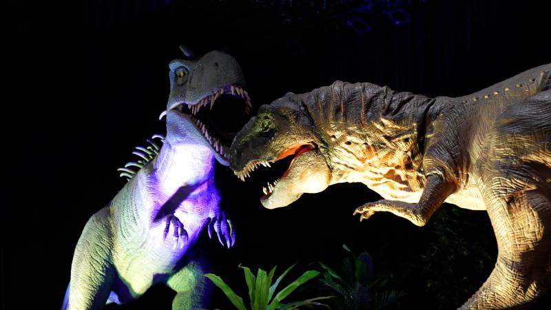 Chambéry - L'exposition itinérante "Le Monde des Dinosaures" arrive à ...